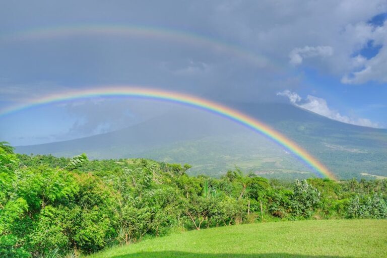 Did You Know? 10 Fun Facts About Rainbows - Spark Trivia