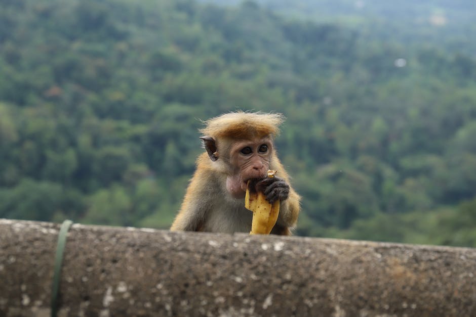 Did You Know? 12 Amazing Facts About Animal Intelligence - Spark Trivia