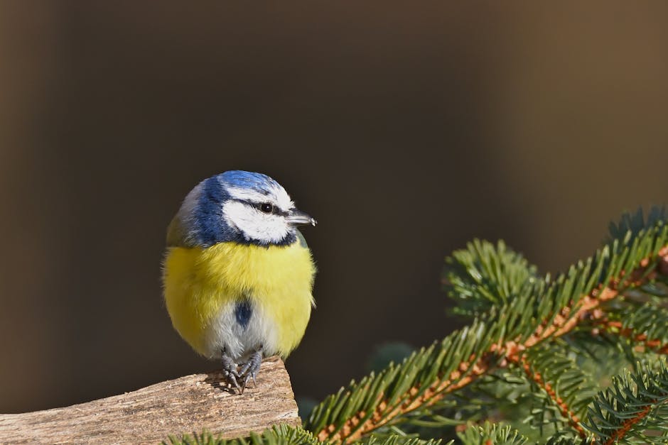 Top 10 Fun Facts About the Animal Kingdom - Spark Trivia