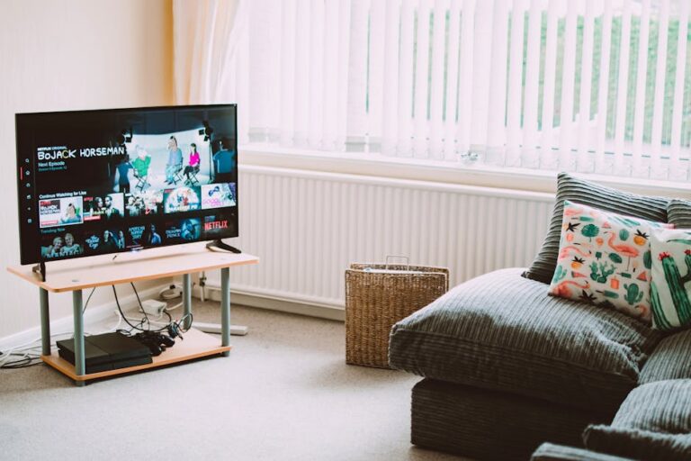 14 Facts About How Streaming Changed Television - Spark Trivia