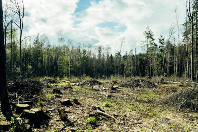 Did You Know? 12 Facts About Climate Change You Didn’t Know - Spark Trivia